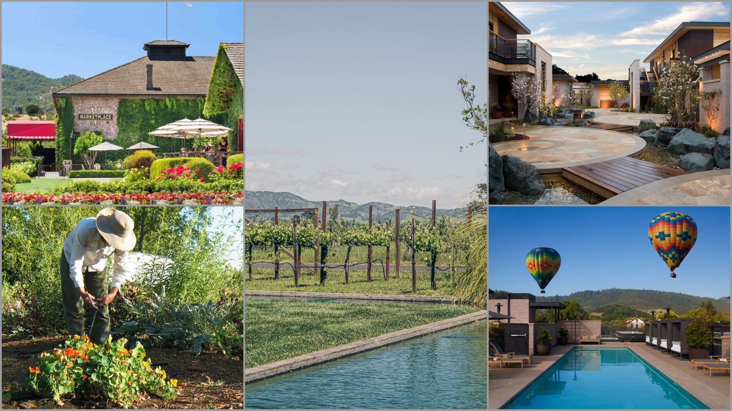 Where to Stay, Eat, and Drink in Napa Valley This Spring | Marie Claire