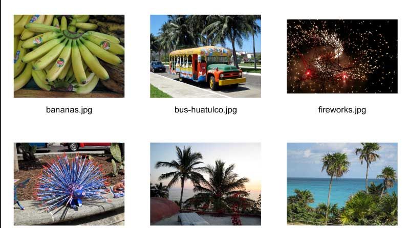 How to create contact sheets using Photoshop | Creative Bloq