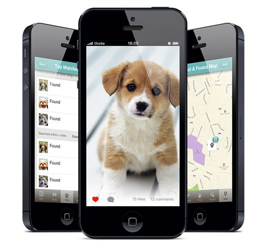 App finds lost dogs through facial recognition | Creative Bloq