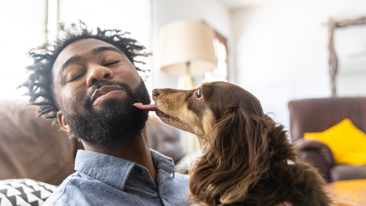 32 of the best pet poses for social media | PetsRadar