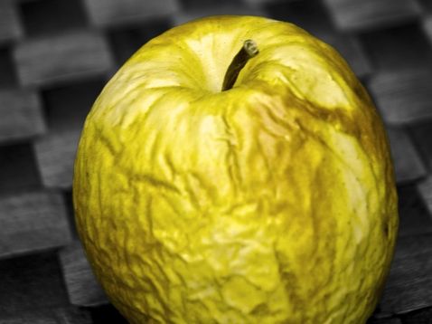 Has Apple Lost The Plot Techradar