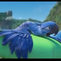 Trailer for Rio released online | GamesRadar+