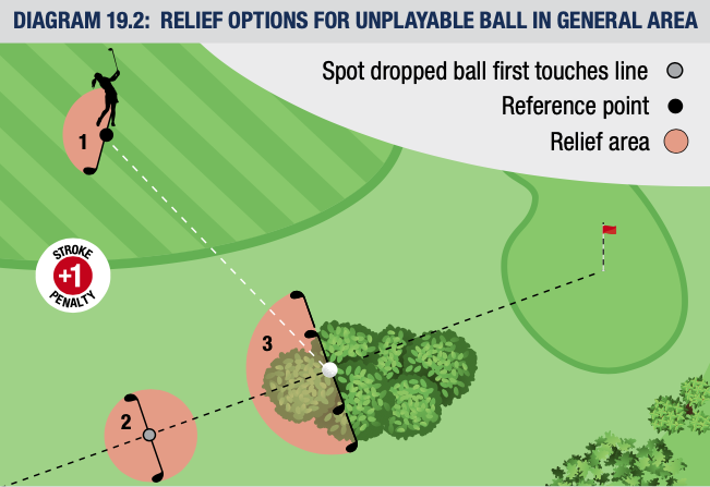 What Should You Do If Your Ball Gets Stuck Up A Tree? Here's What The ...