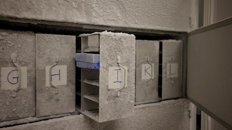 'It is our obligation to future generations': Scientists want thousands ...