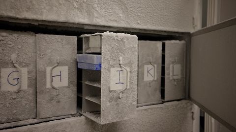 'It is our obligation to future generations': Scientists want thousands ...