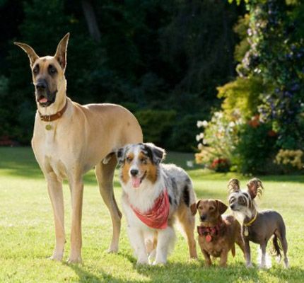 The Evolution of Emma Stone | GamesRadar+