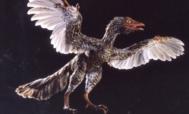 The 10 most incredible scientific hoaxes of all time | The Week