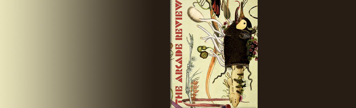 The best videogame books | PC Gamer