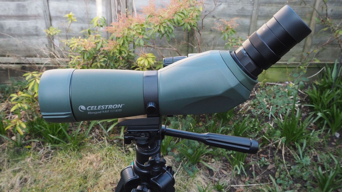 Celestron Regal M2 65ED spotting scope review | Digital Camera World