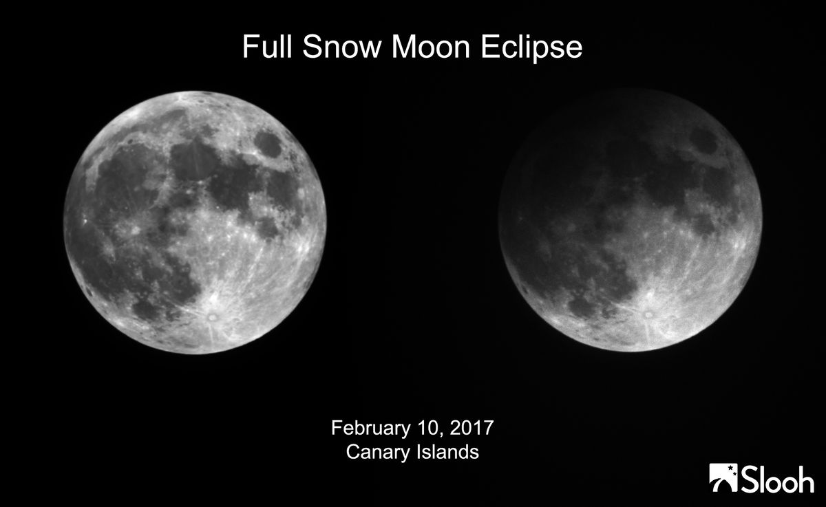 In Photos: The Snow Moon Lunar Eclipse & Comet 45P Close Encounter ...