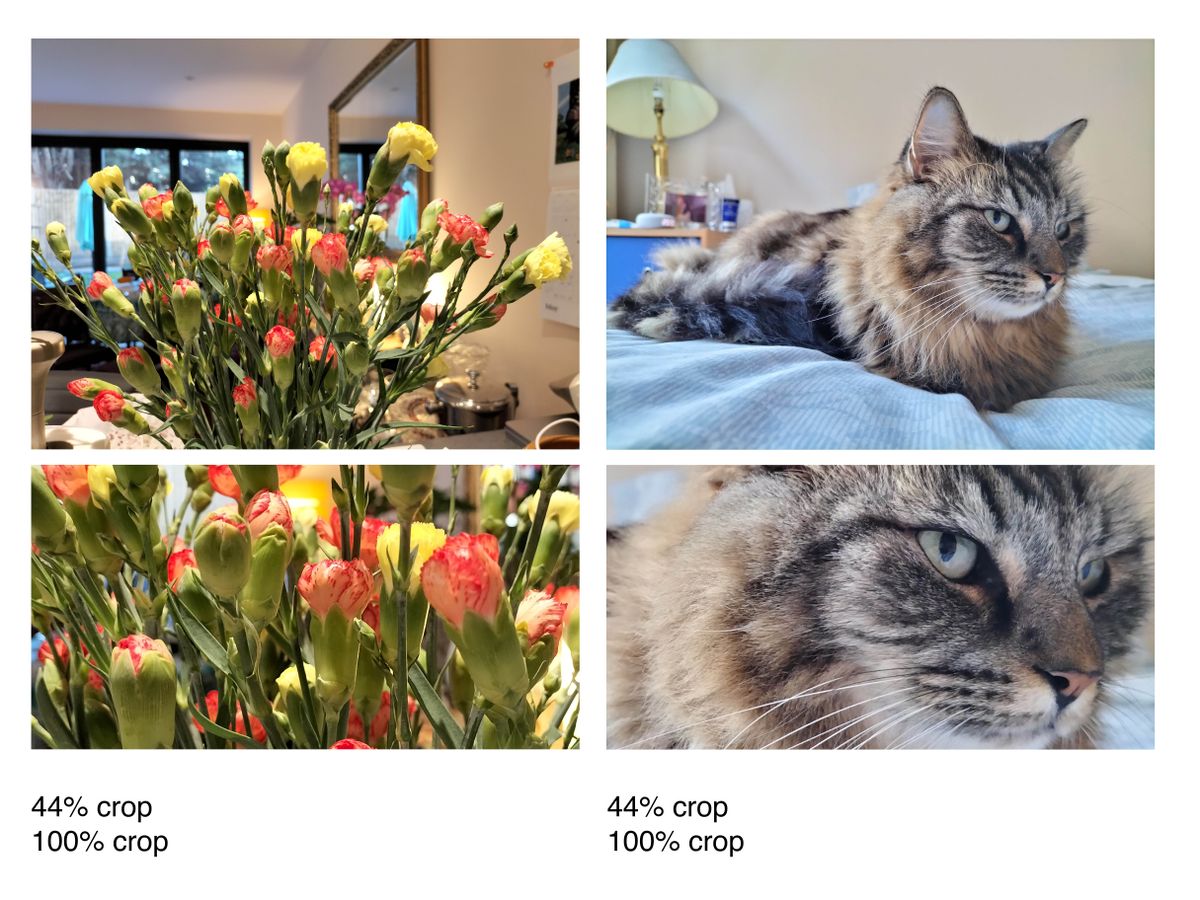 Oppo A54 5G review | Digital Camera World