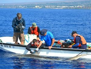 It’s ‘Go Time’ for Litton Entertainment | Next TV | Broadcasting+Cable