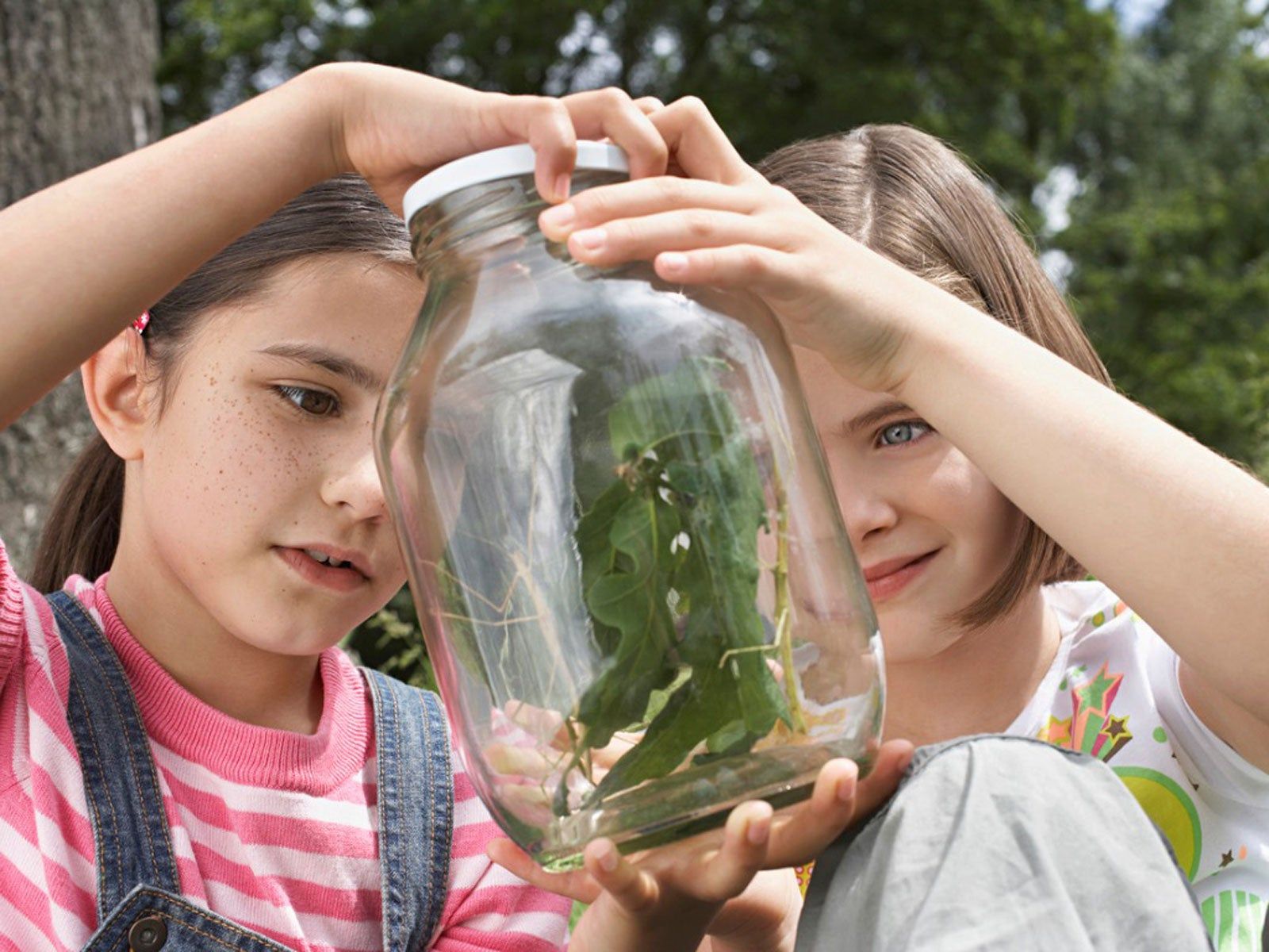 Garden Science For Children Gardening Themed Science Activities