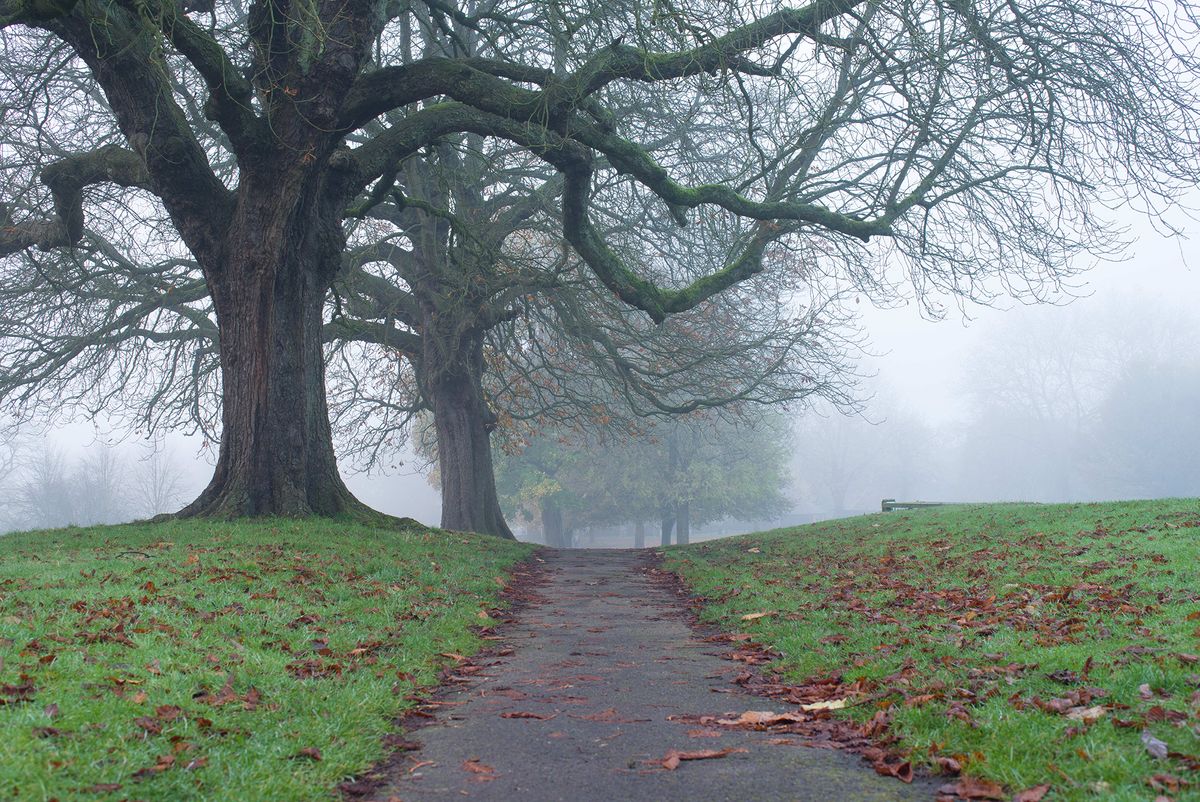 How to capture photographs of a misty scene | Digital Camera World