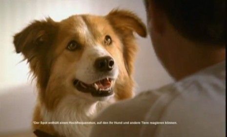The TV commercial that targets your dog | The Week
