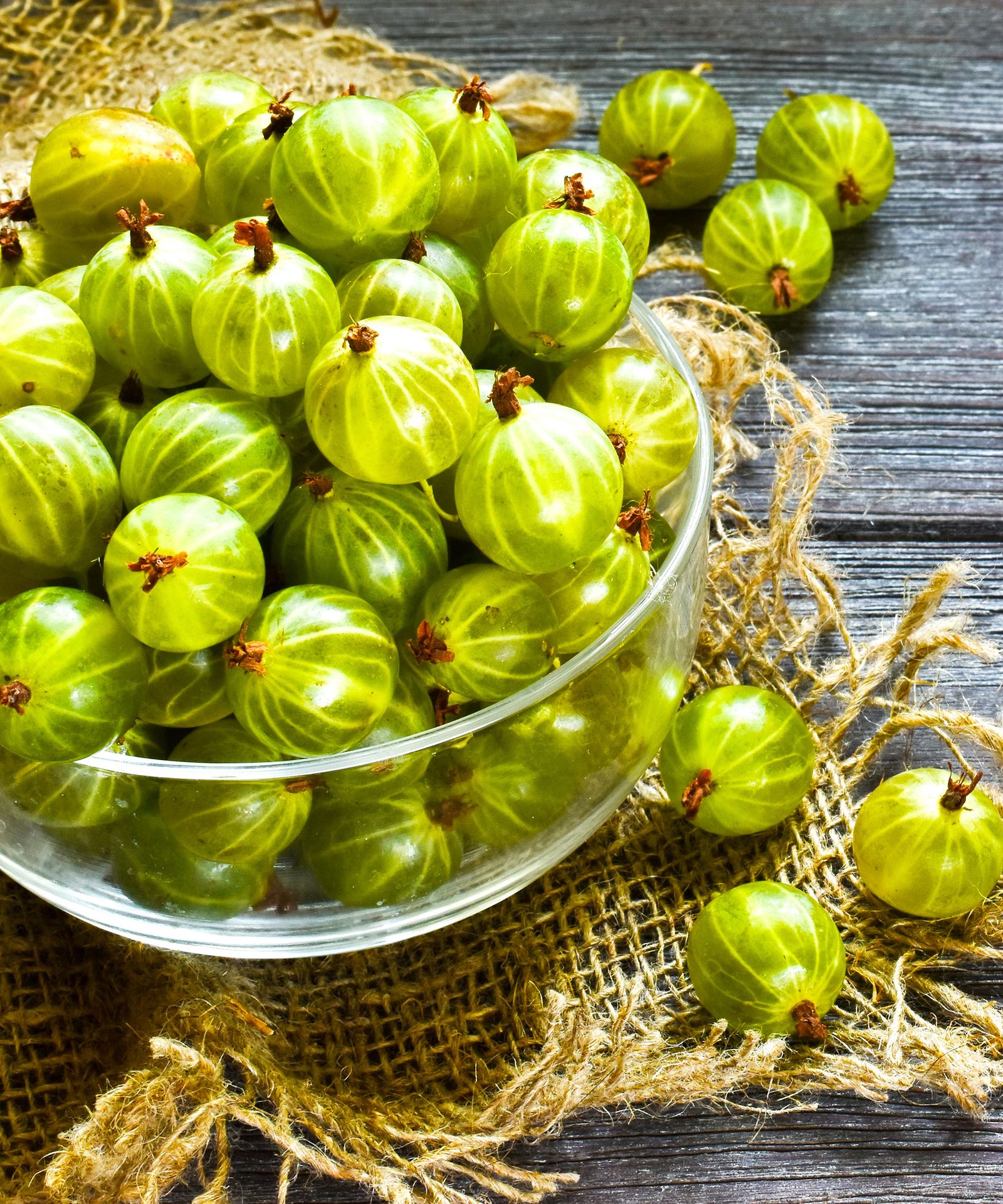 6 gooseberry growing mistakes with expert tips for success | Homes and ...