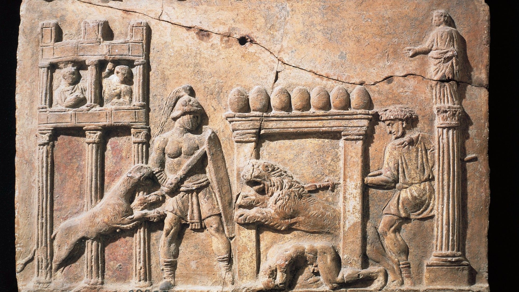Skeleton proves ancient humans fought lions in arenas | The Week