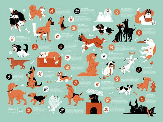 Cute poster charts the A-Z of dogs | Creative Bloq