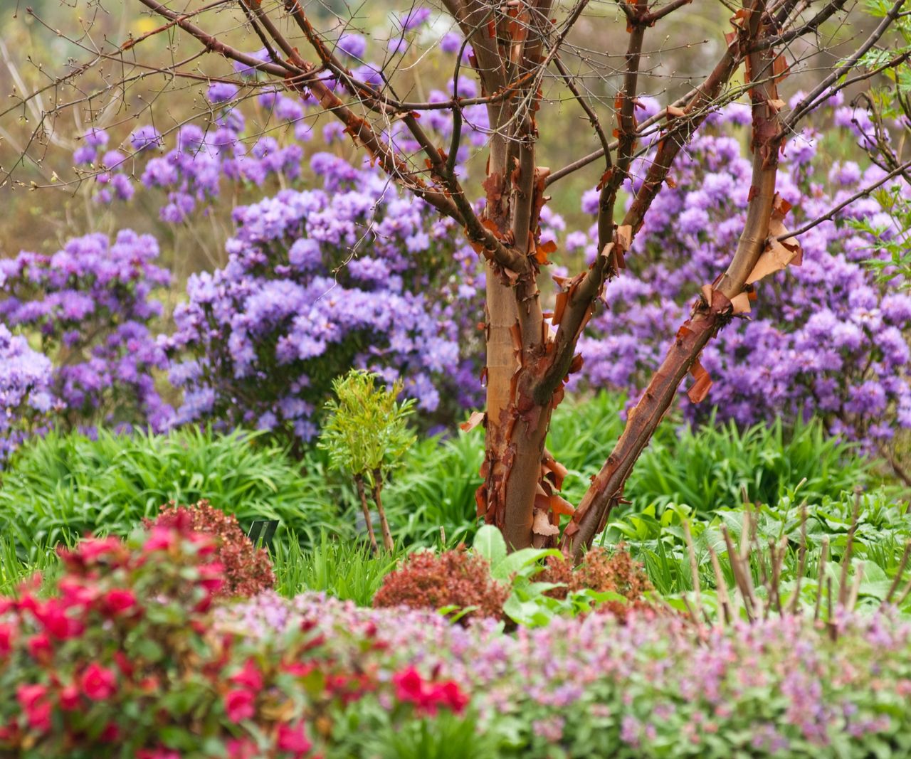 Easy backyard landscaping ideas: 7 simple ways to reshape your plot ...