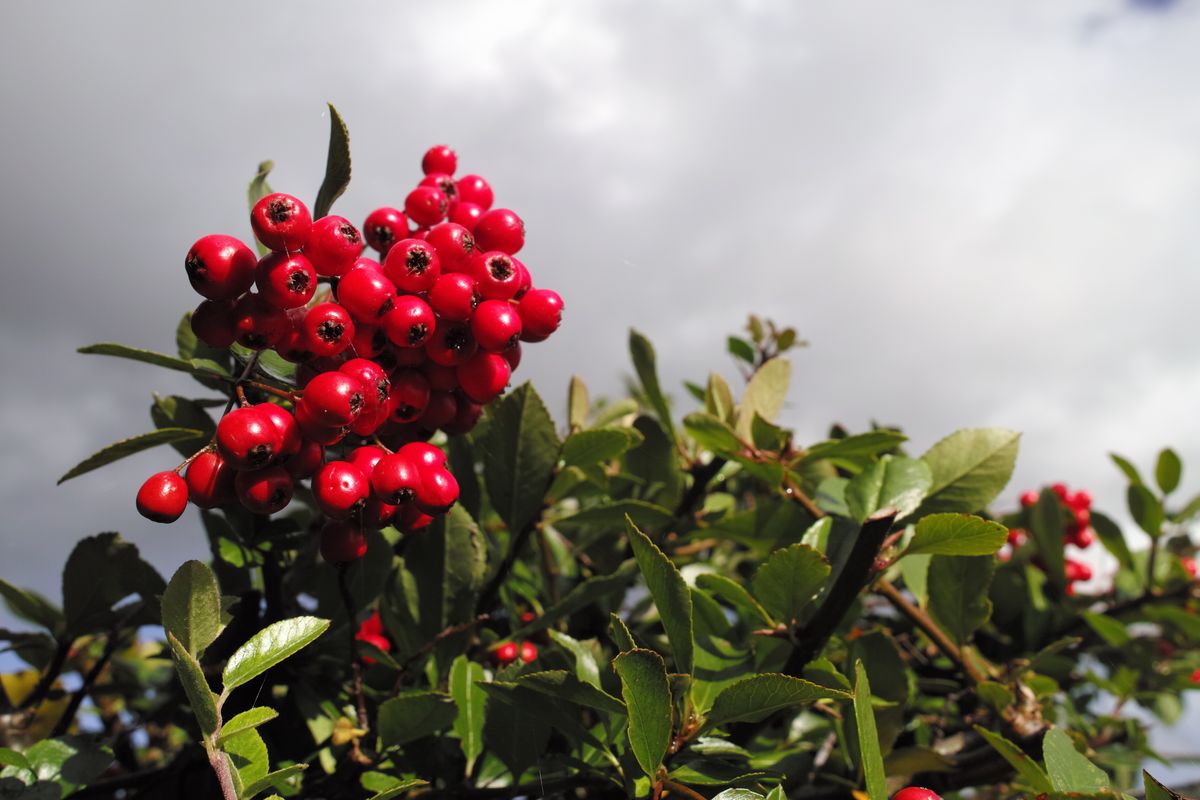 Sample images - Sigma DP1 Merrill review - Page 6 | TechRadar