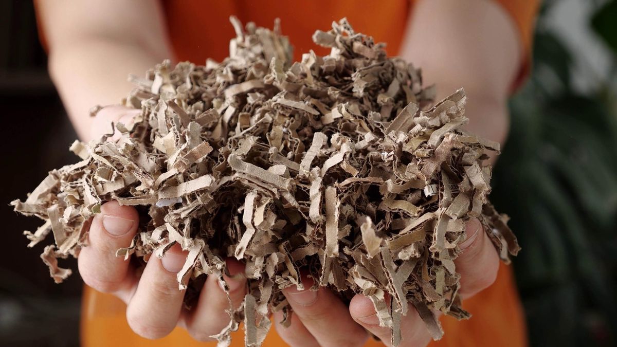 7 sustainable ways to use cardboard in your yard | Tom's Guide