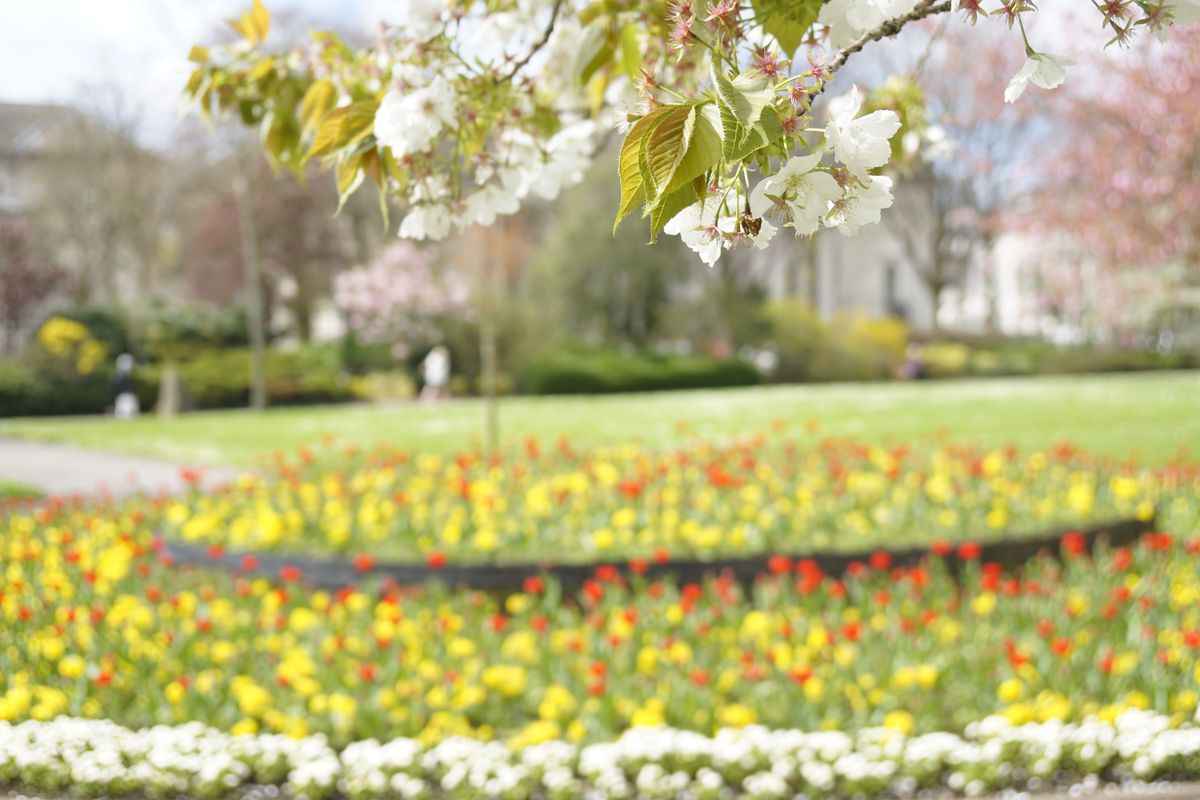 Sample images - Sony Alpha A6000 review - Page 4 | TechRadar