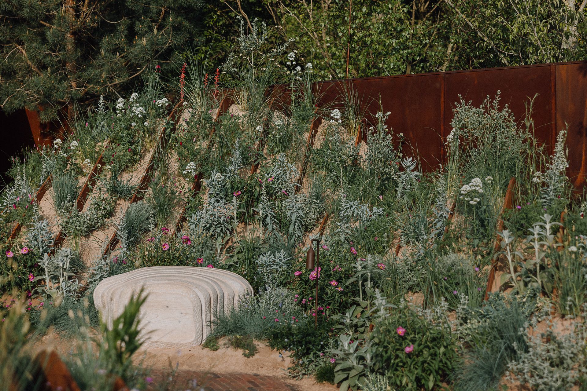 At Chelsea Flower Show 2025, an innovative coastal garden turns heads ...