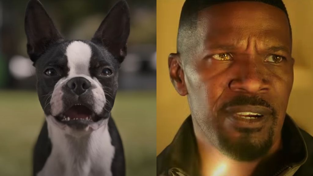 Strays Cast: Where You've Seen And Heard The Actors Before | Cinemablend