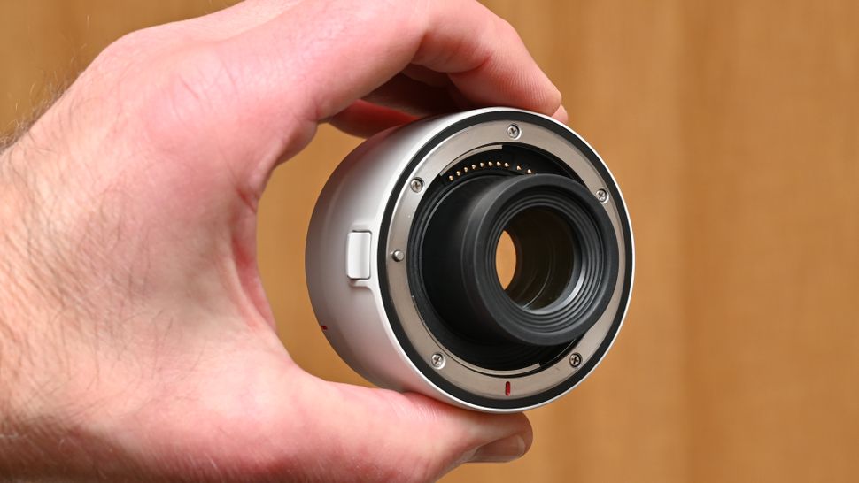 Canon Extender RF 2x review: double your telephoto reach and close-up ...