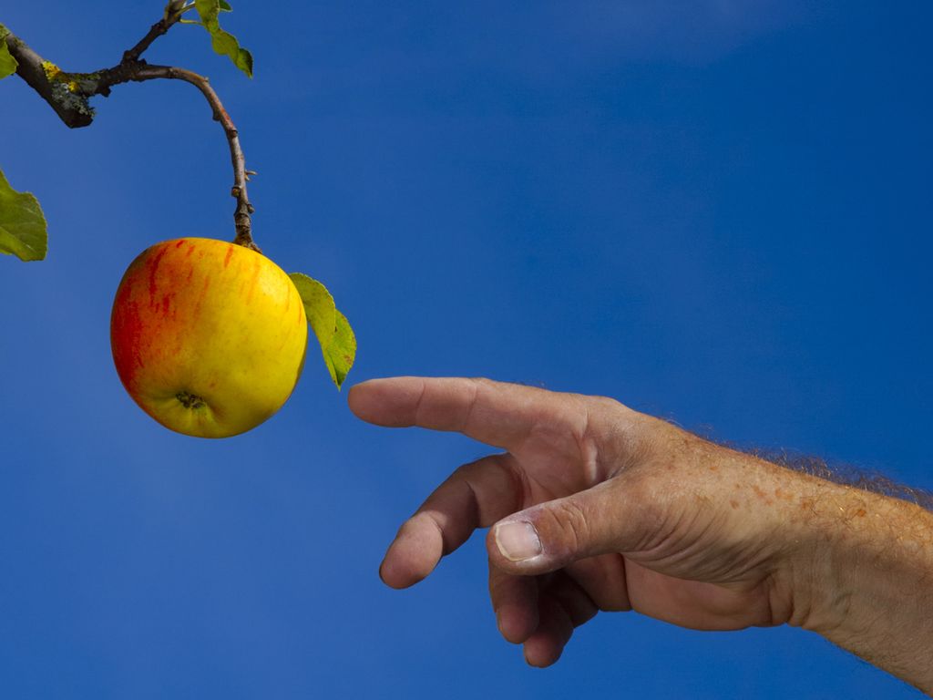 5 Things a Man's Finger Length Says About Him | Live Science