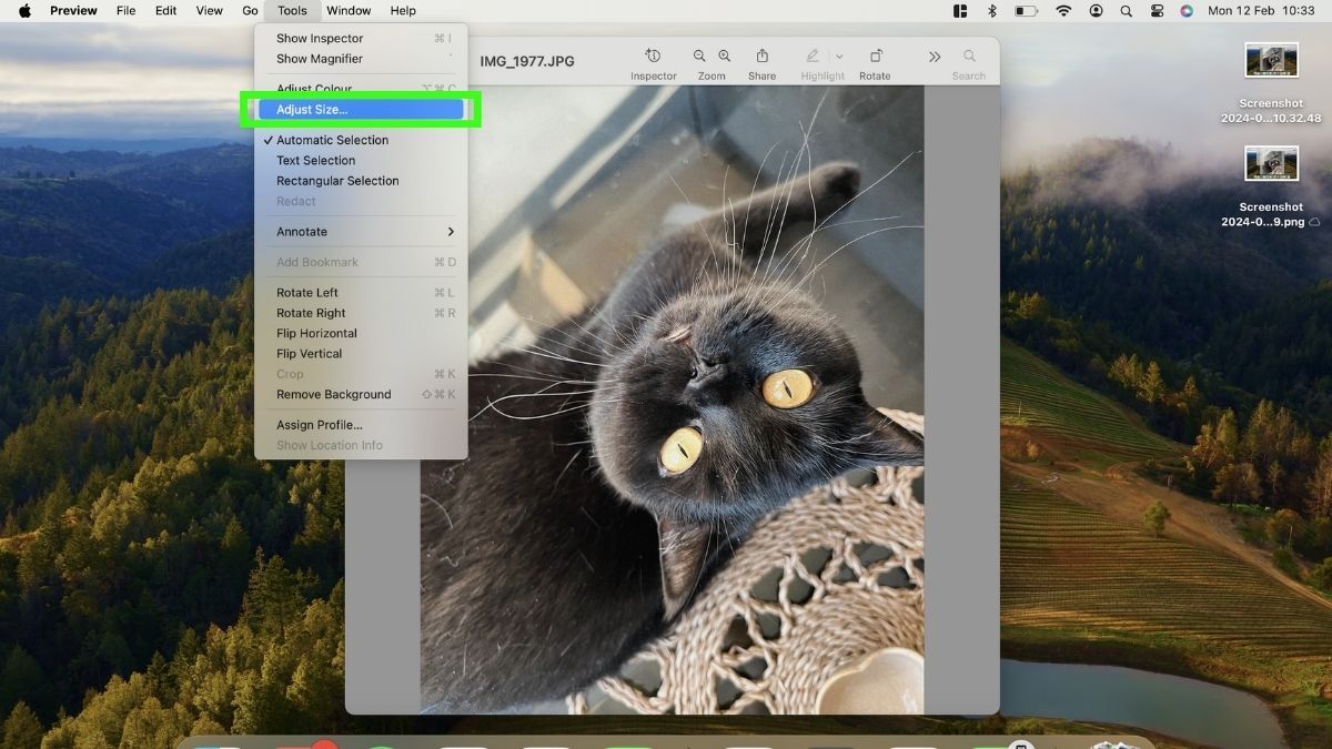How to resize images | TechRadar
