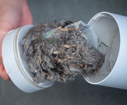 Unusual compost ingredients: 10 surprising options | Homes and Gardens