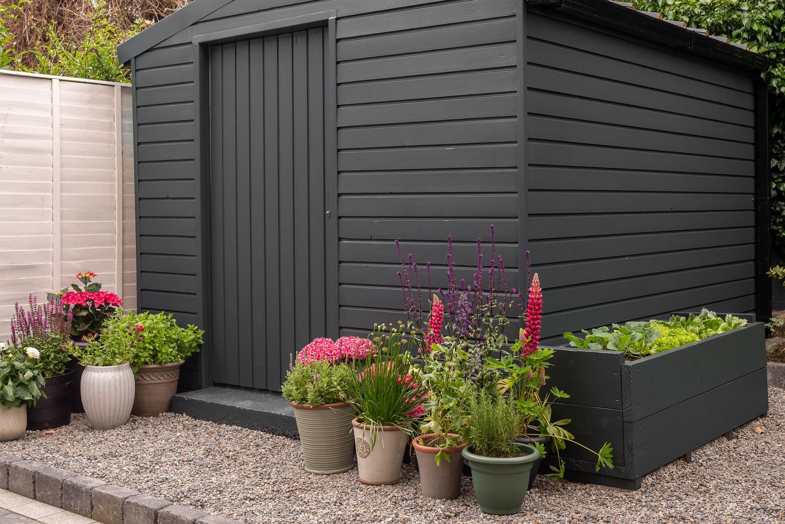 Container gardening ideas: 19 planting designs for year-round colour ...