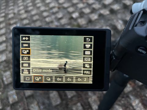 Use a slow shutter speed to inject movement into your wildlife ...