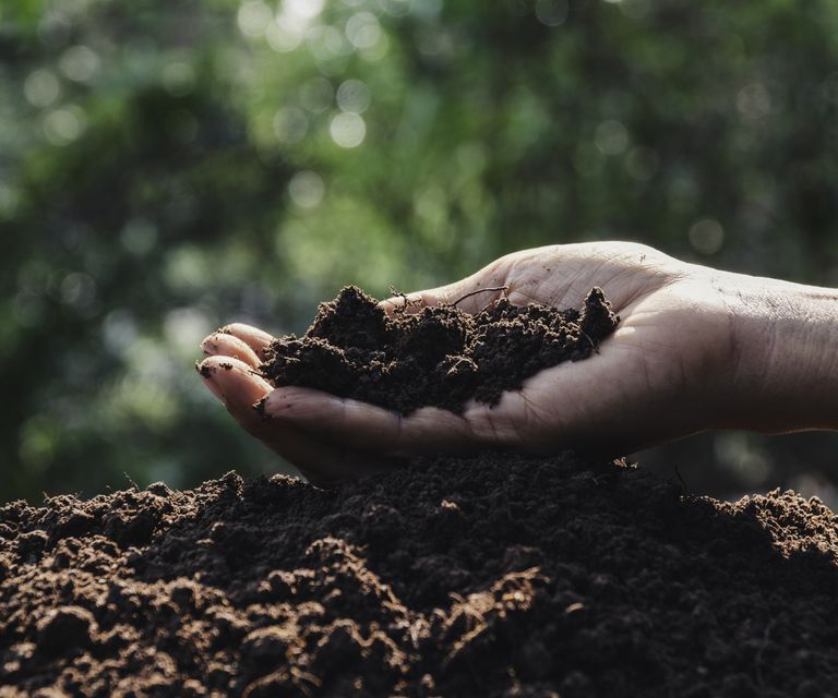 7 composting myths debunked by experts | Homes and Gardens
