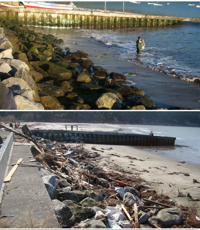 Chile Quake & Tsunami Dramatically Altered Ecosystems | Live Science