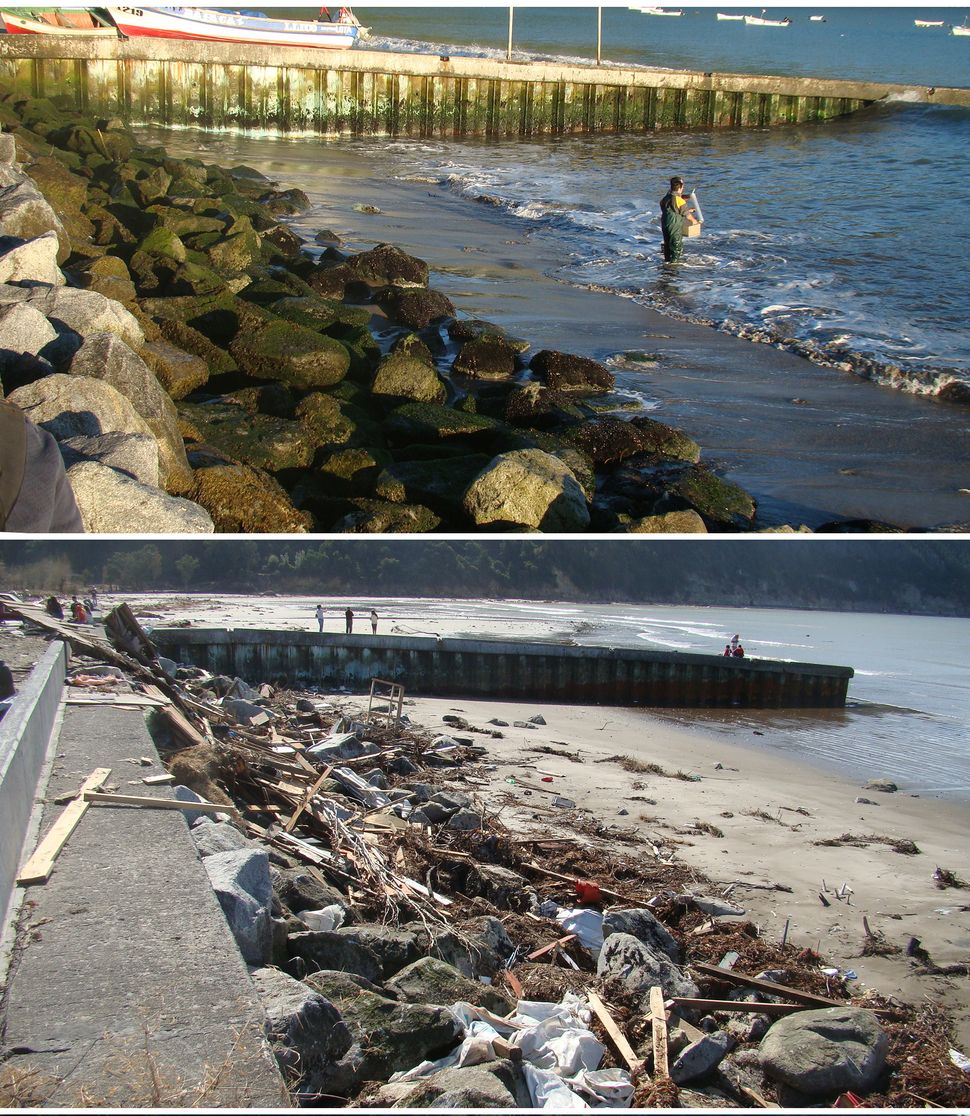 Chile Quake & Tsunami Dramatically Altered Ecosystems | Live Science