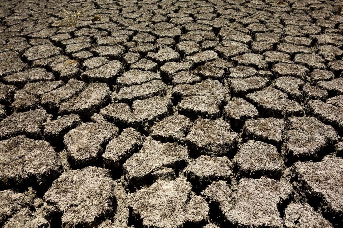 California's Worst Drought Ever Is 1st Taste of Future | Live Science