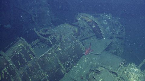 In Photos: Dive to USS Independence Wreck | Live Science
