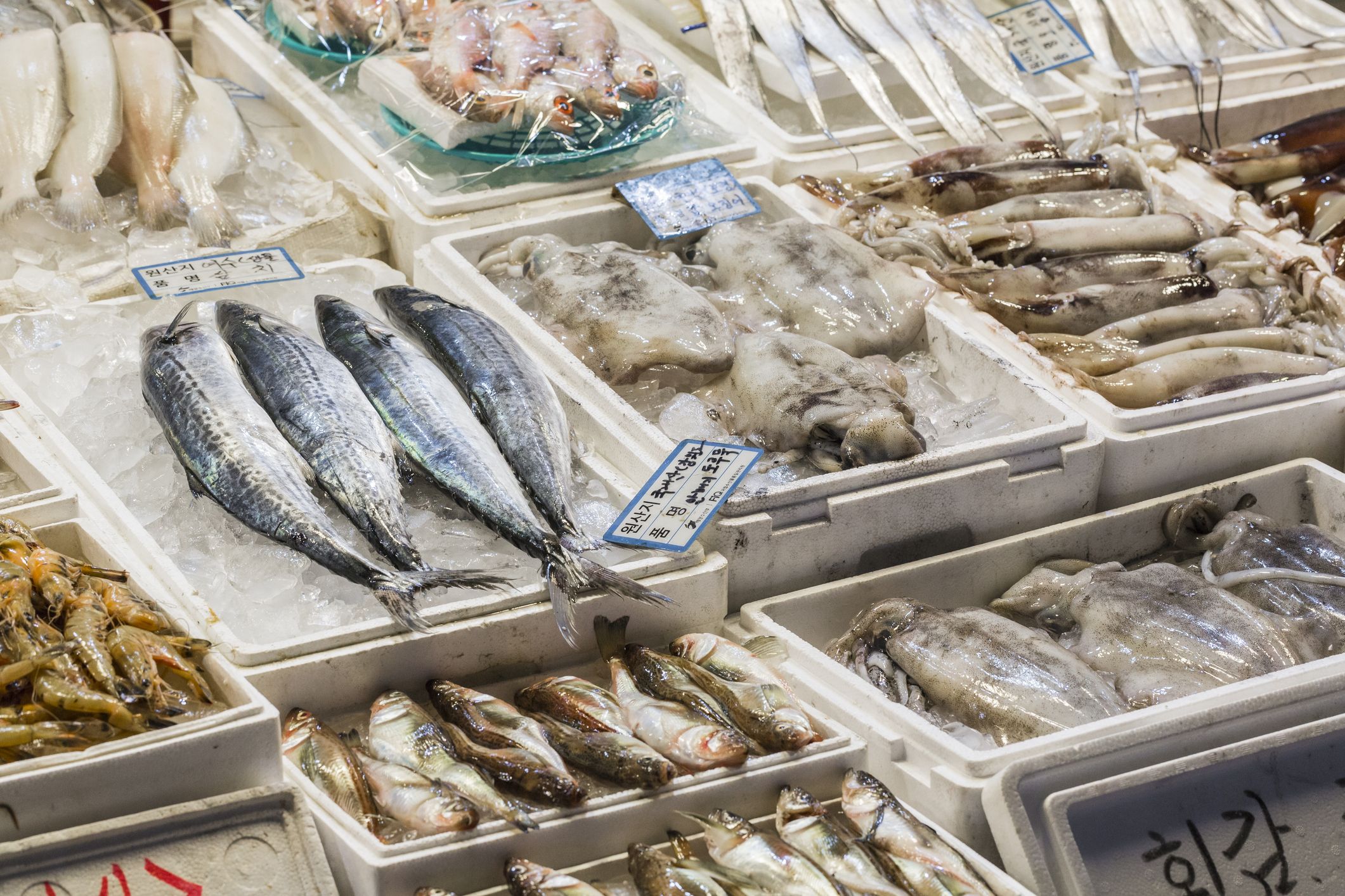 Japanese officials use emergency alarms to warn residents not to eat ...