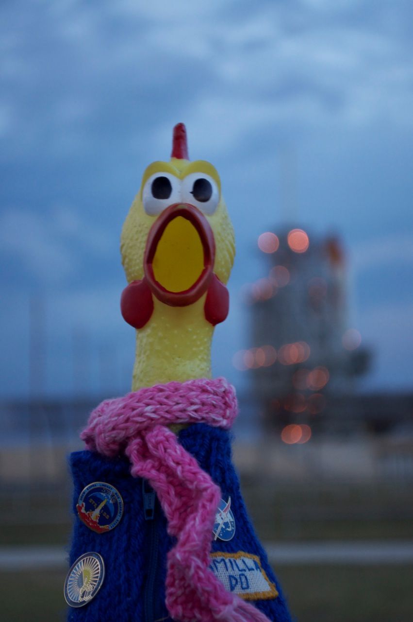 Rubber Chicken Camilla Flies to Edge of Space (Photos) | Space