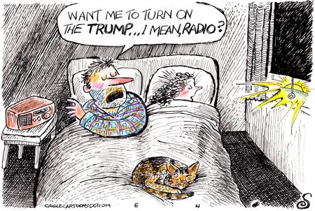 Cartoons: News, analysis and opinion | The Week