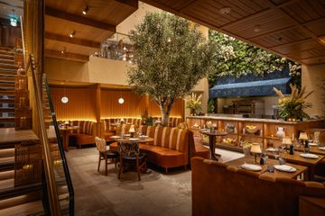 The BoTree reveals interiors that burst with life | Wallpaper*