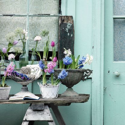 Botanical-inspired room schemes that invite florals and foliage into ...