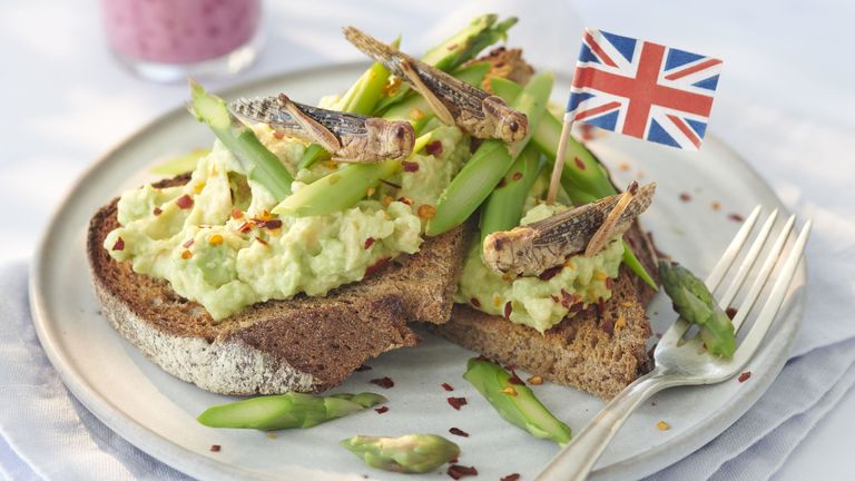 These insect-based breakfasts are super healthy - but would you eat ...