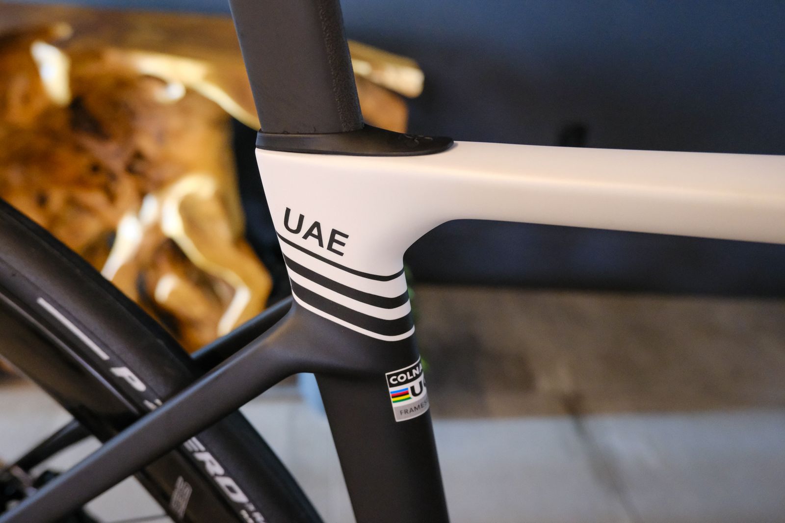 Meet Tadej Pogačar's new weapon: Colnago’s lightest frame ever — the ...