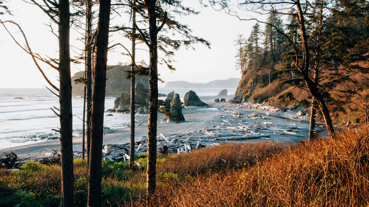 National park facts: interesting, inspiring, and downright unbelievable ...