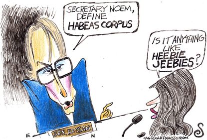 Kristi Noem fails a habeas corpus test | May 22 editorial cartoons ...