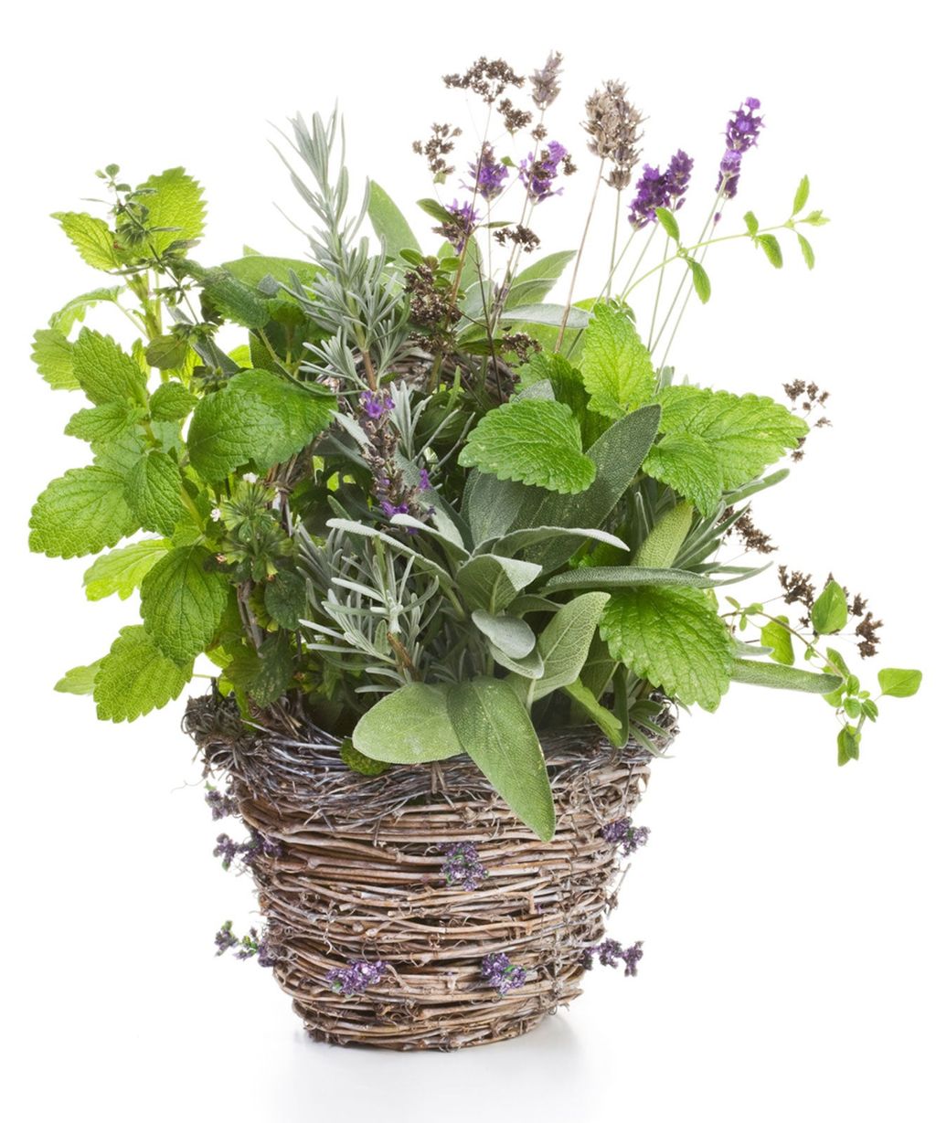 Using Baskets As Containers: How To Care For Plants In Baskets ...