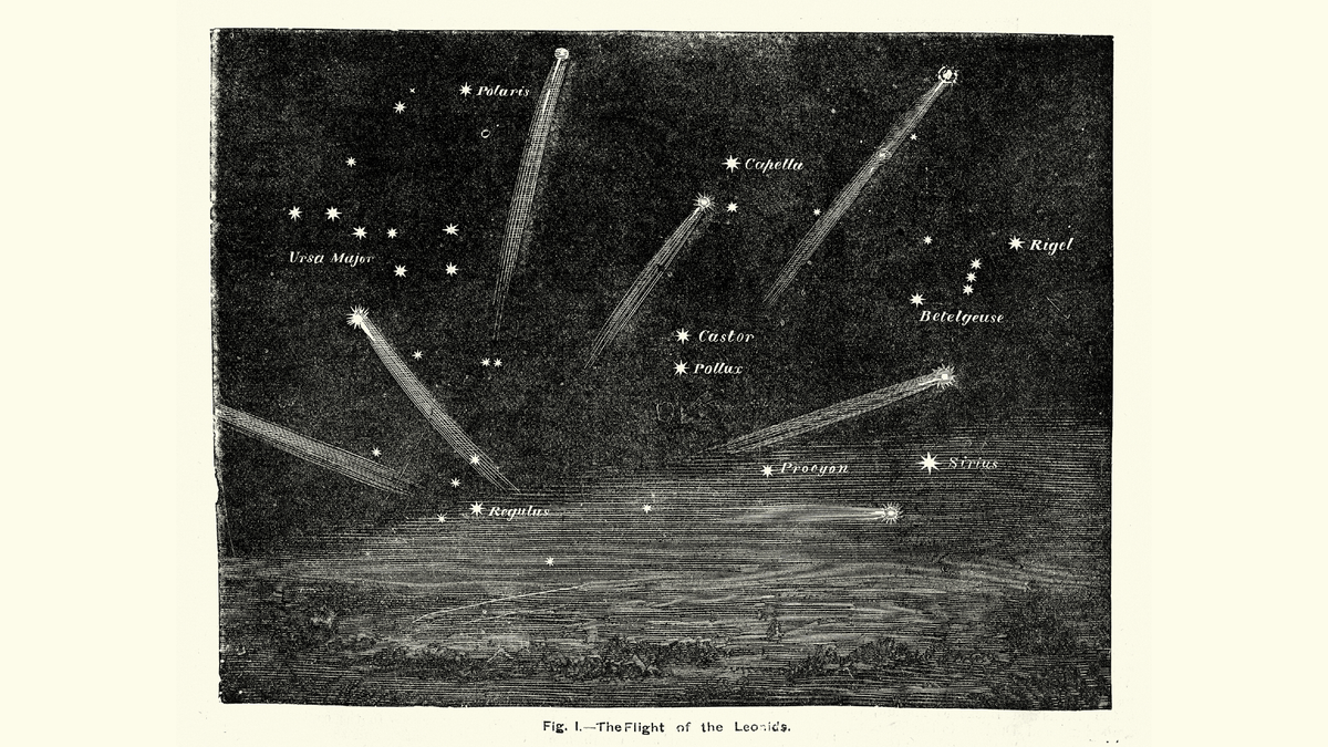 The Leonid meteor shower peaks next week. Here's what to expect | Space